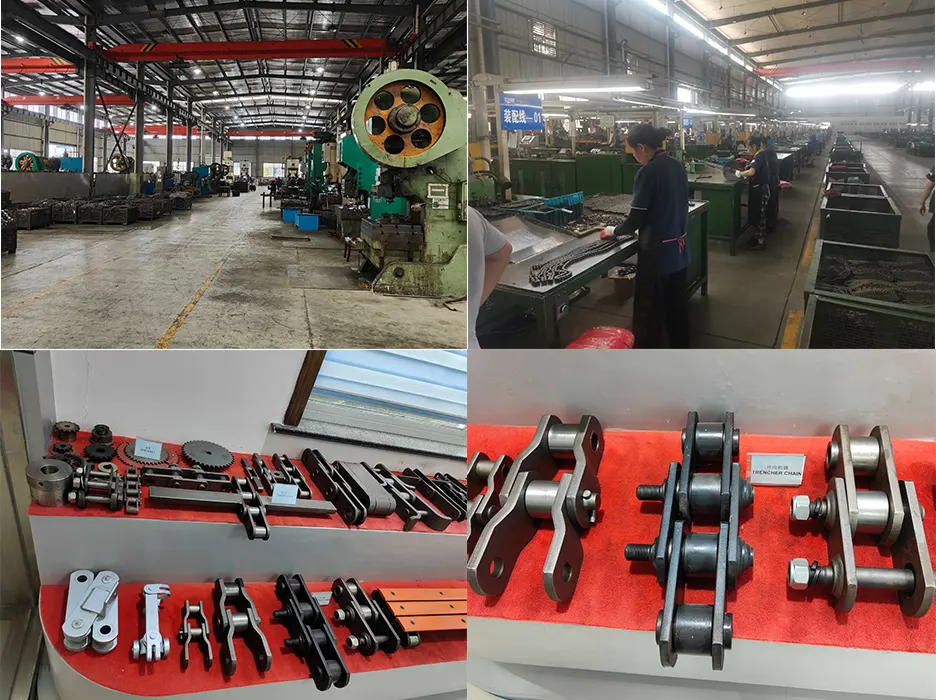 MC33 Double Flex Chain for X-ray Equipment Manufacturing - WLY ...